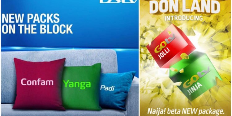 Multichoice Nigeria Announce launching five new packages for Yuletide ...